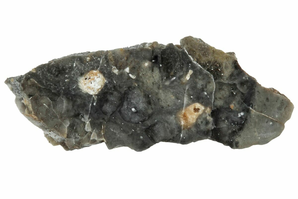 .78" NWA 15482 Lunar Meteorite (.27 g) Slice (#307544) For Sale ...
