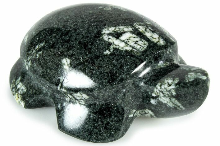 1.9" Carved Chinese Writing Rock Turtle - Australia (#308496) For Sale ...