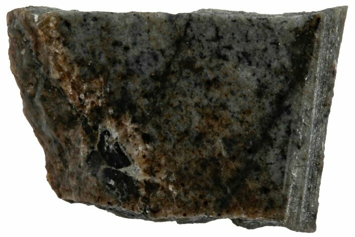 .48" Rare, Lunar Basaltic Breccia Meteorite (0.51 g) Slice - NWA 14188 ...