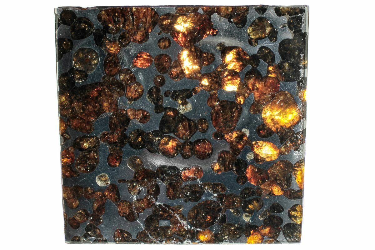 2.62" Polished Sericho Pallasite Meteorite (74.30 g) Slice - Kenya ...