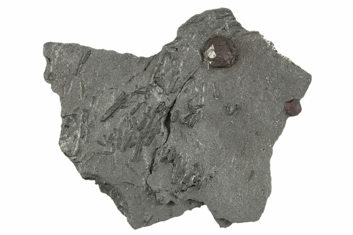 2.1" Plate of Two Red Embers Garnets in Graphite - Massachusetts ...