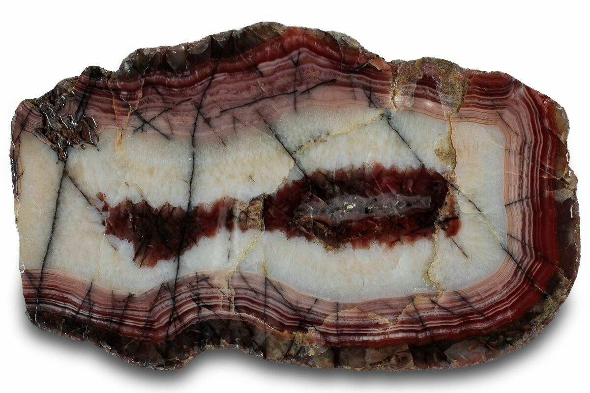 5.3" Polished Pilbara Agate Nodule - Oldest Known Agate (#314396) For ...