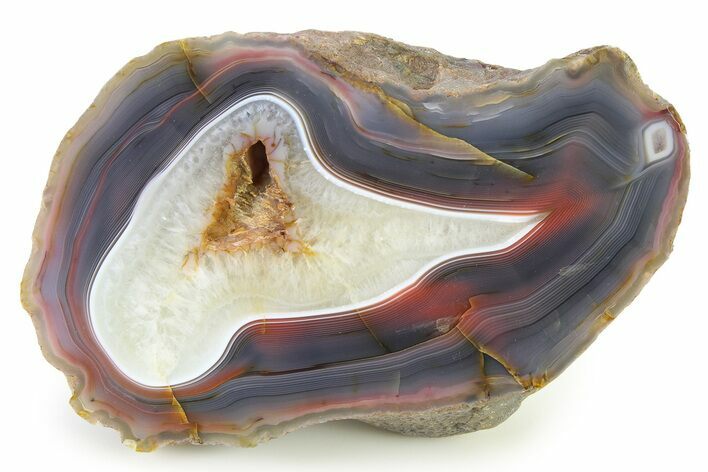 5.2" Polished Queensland Agate Nodule - Australia (#316055) For Sale ...