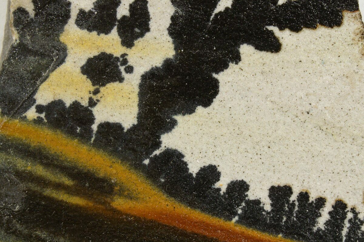 2.5" Dendrites On Limestone - Utah (#319081) For Sale - FossilEra.com