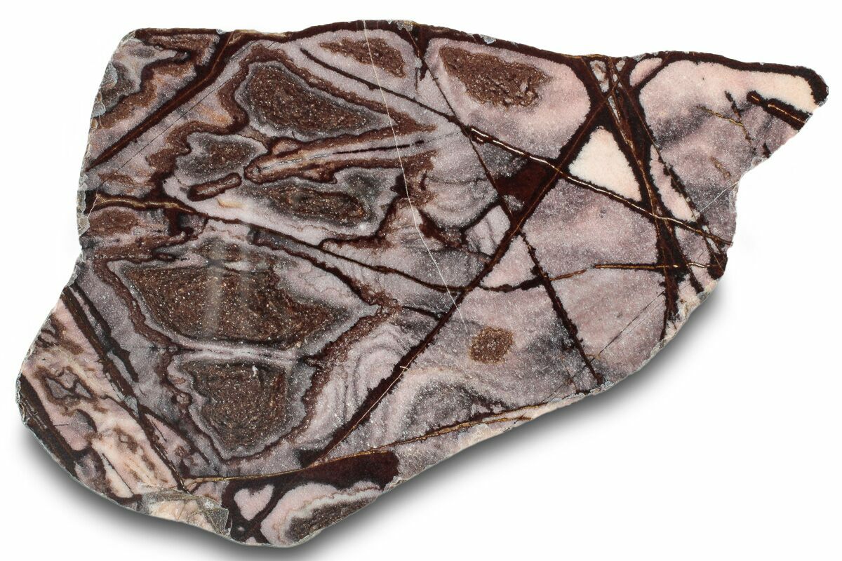 4.55" Polished Outback Jasper Slab - Western Australia (#319539) For ...