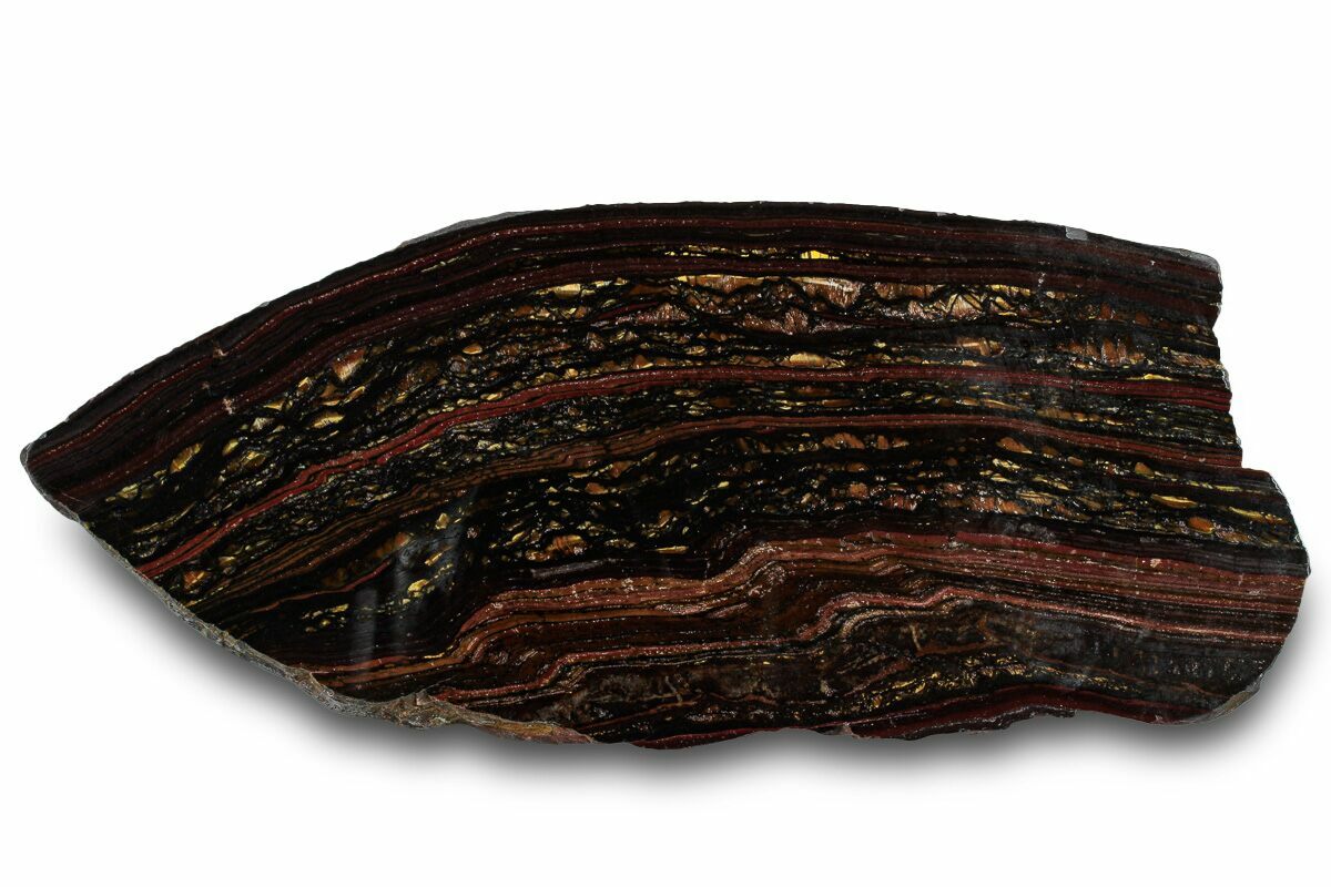 7.65" Polished Tiger Iron "Stromatolite" Slab - 3.02 Billion Years ...