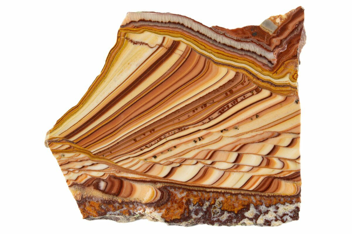 3.7" Polished Slab Of Rolling Hills Dolomite - Mexico (#324425) For ...
