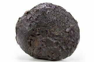 7.15" Dragon Scale Stone (Iron, Manganese, Siderite Nodule) (#302332 ...