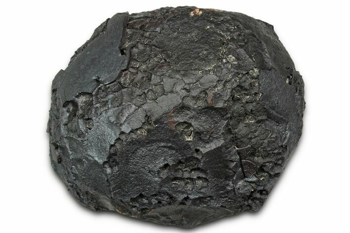 2.7" Dragon Scale Stone (Iron, Manganese, Siderite Nodule) (#330318 ...