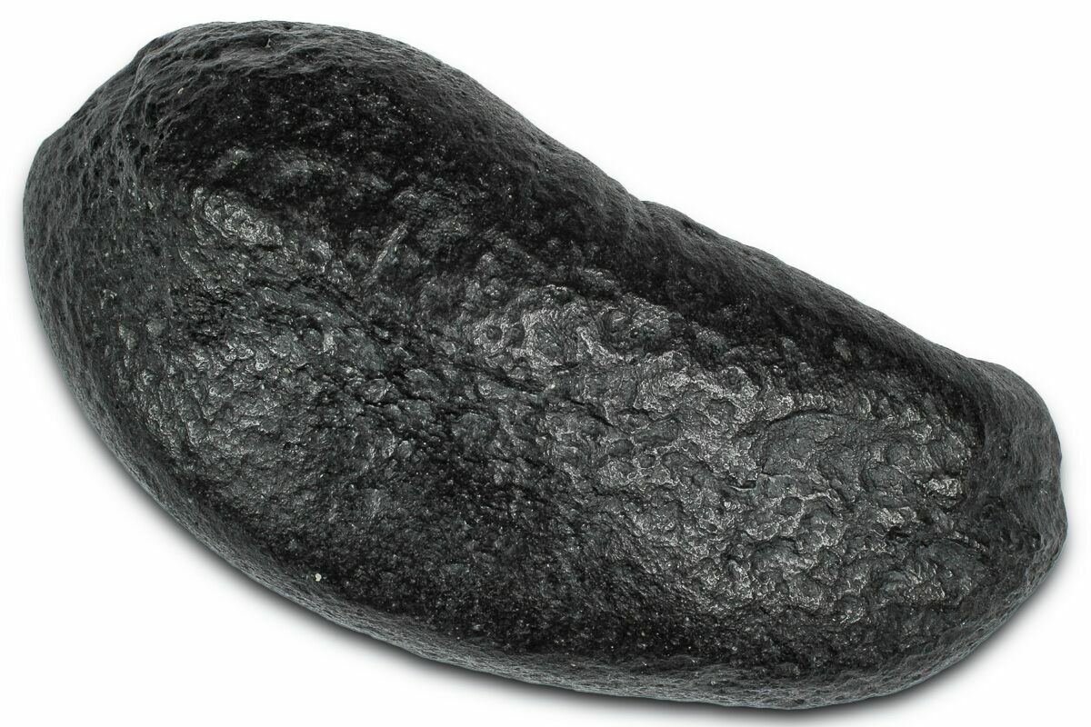 3.7" Large Fossil Whale Ear Bone - South Carolina (#332003) For Sale ...