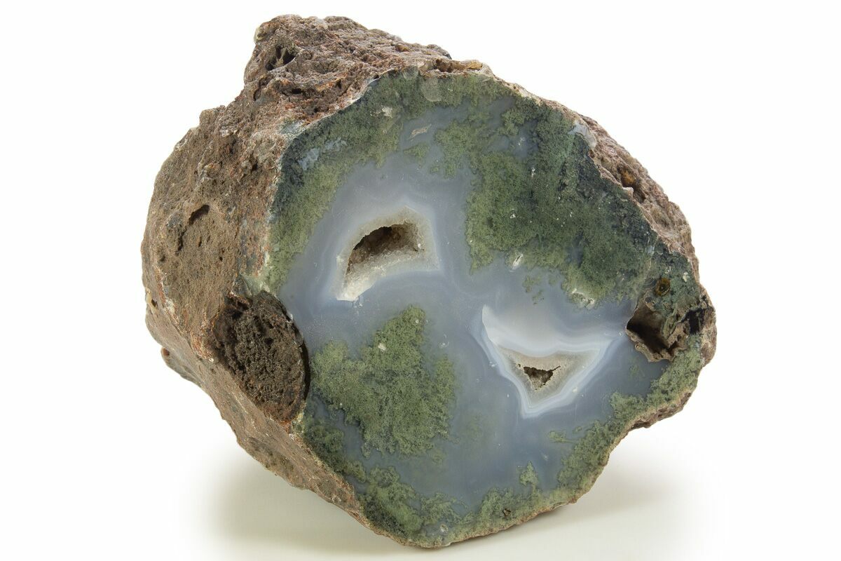 6.5" Polished Agate Replaced Petrified Wood Limb Cast - Oregon (#333036 ...