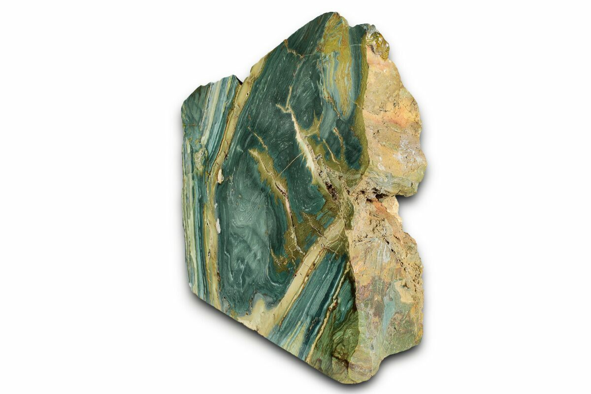 5.3" Free-Standing, Gary Green Jasper (Larsonite) Bog Wood - Oregon ...