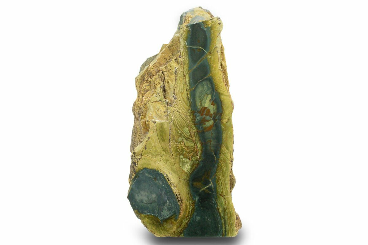 7" Free-Standing, Gary Green Jasper (Larsonite) Bog Wood - Oregon ...