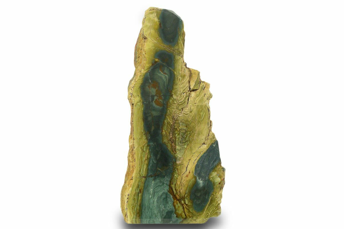 6.45" Free-Standing, Gary Green Jasper (Larsonite) Bog Wood - Oregon ...