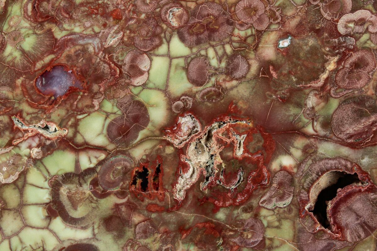 9.9" Polished Spiderweb Jasper Section - Oregon (#334885) For Sale ...