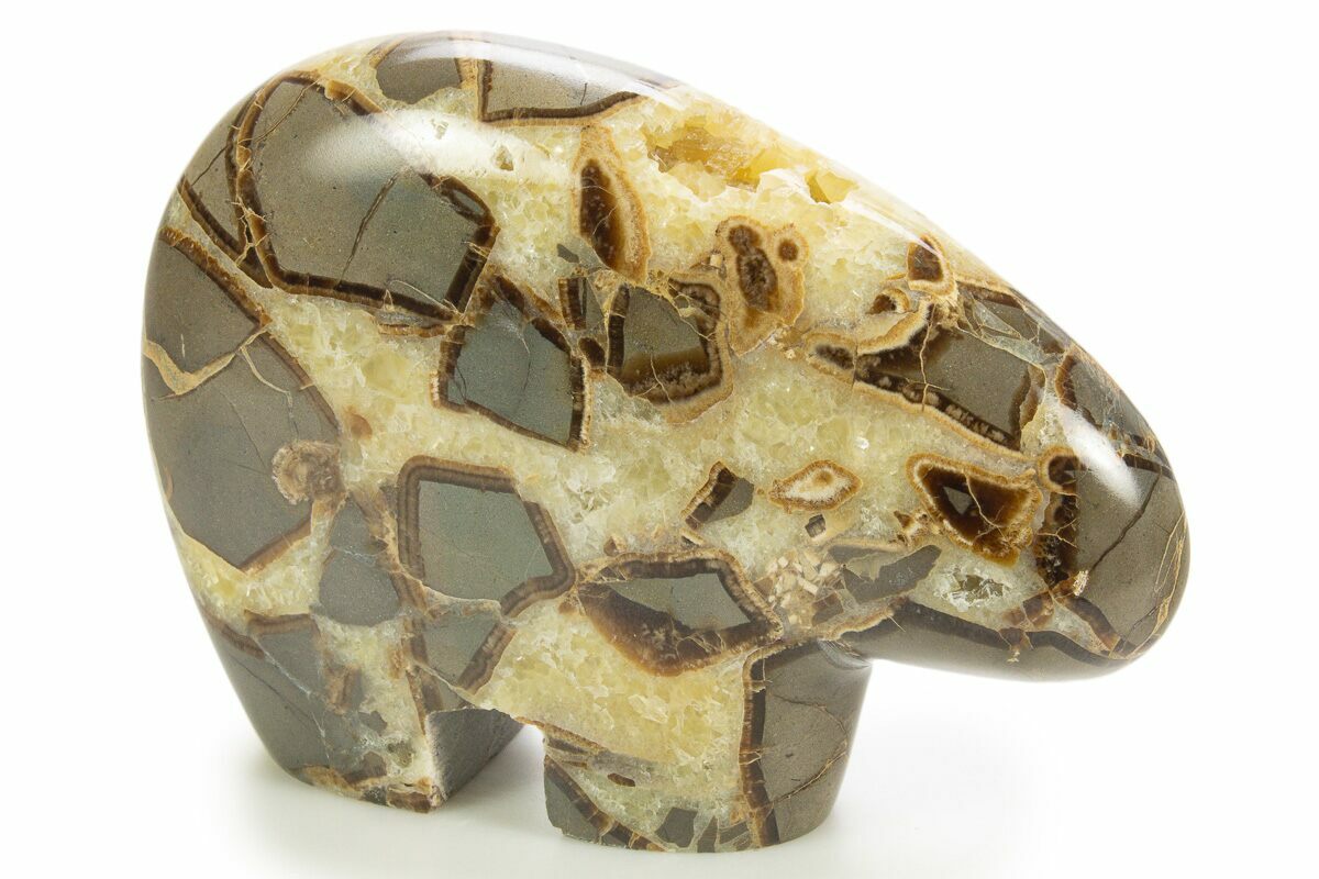 3.9" Calcite-Filled Polished Septarian Bear - Utah (#335288) For Sale ...
