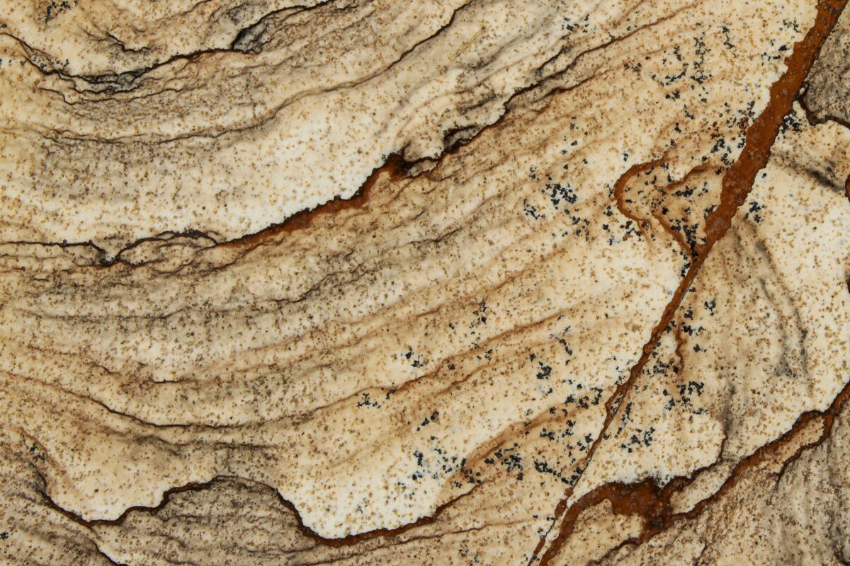 4" Polished Biggs Jasper Slab - Oregon (#336988) For Sale - FossilEra.com