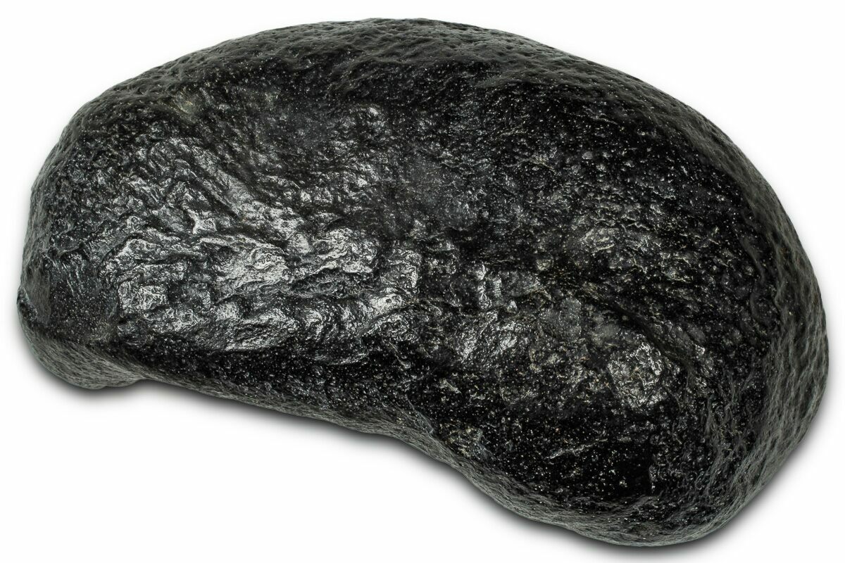 3.7" Large Fossil Whale Ear Bone - South Carolina (#340254) For Sale ...