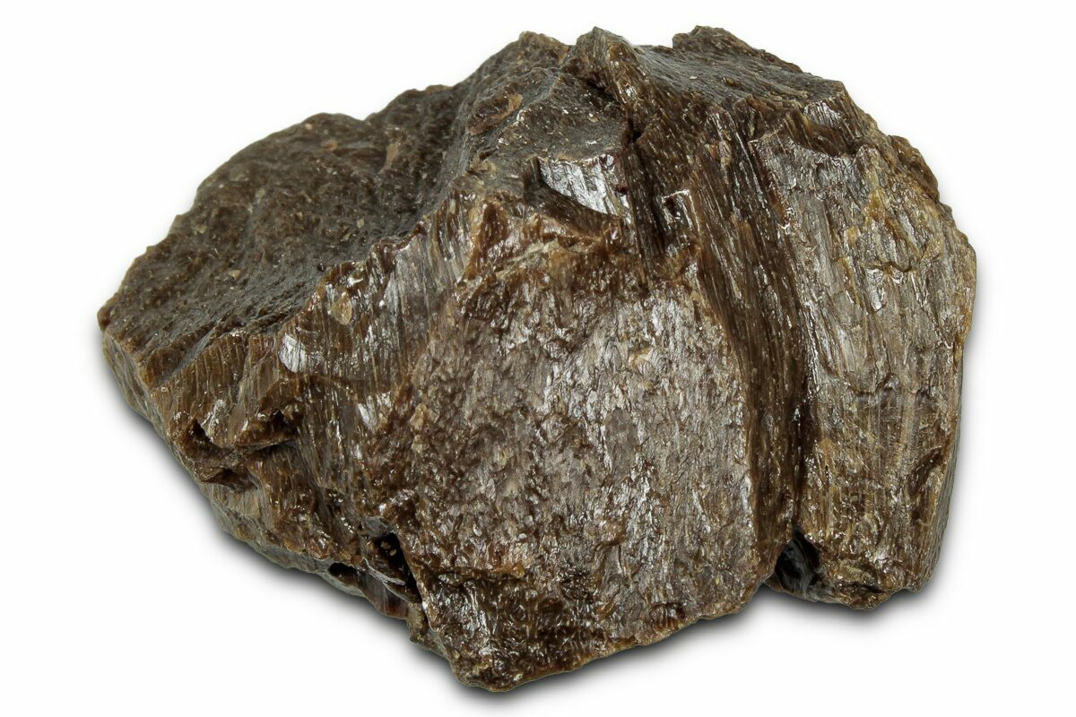 1.1" Fossil Tyrannosaur (T. rex) Bone Section - Wyoming (#342606) For ...