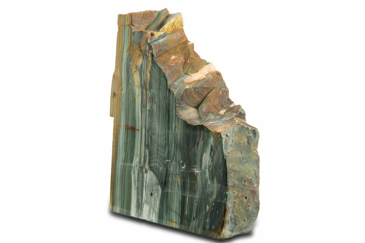 6.8" Free-Standing, Gary Green Jasper (Larsonite) Bog Wood - Oregon ...