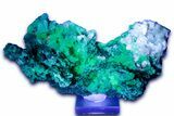 4.4" Fluorescent Uranyl Chalcedony with Fluorite - Utah (#347466) For ...