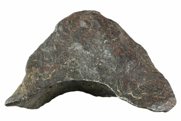 1.89" Canyon Diablo Iron Meteorite (40.30 g) - Arizona (#356092) For ...