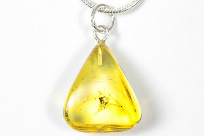 .8" Polished Baltic Amber Pendant (Necklace) - Contains Insect ...