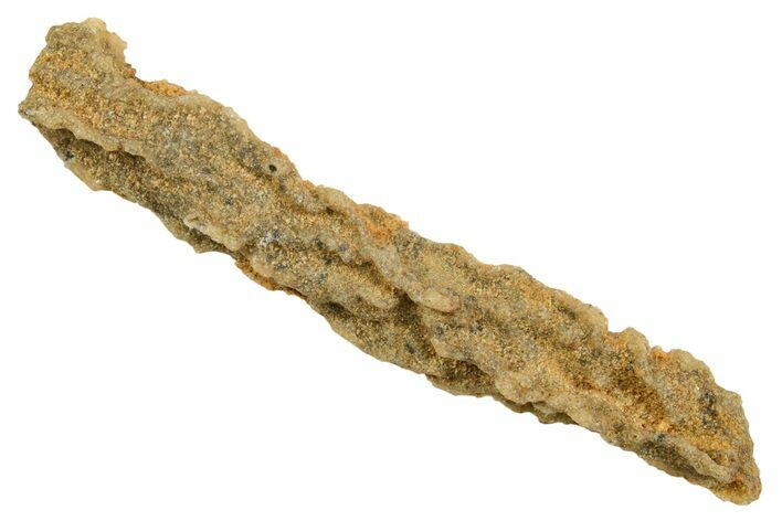 3.15" Fulgurite - "Petrified Lightning" (#366375) For Sale - FossilEra.com