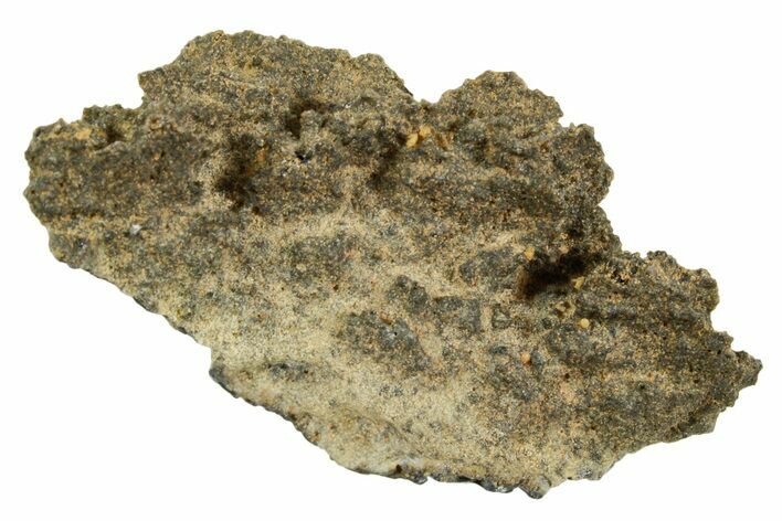 2.45" Fulgurite - "Petrified Lightning" (#366379) For Sale - FossilEra.com