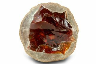 1" Ethiopian Chocolate Opal Nodule - Yita Ridge (#367234) For Sale ...